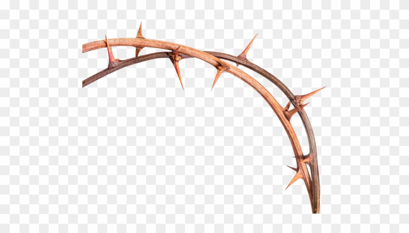 Thorn Transparent Background - Thorn Transparent Background - Free ...