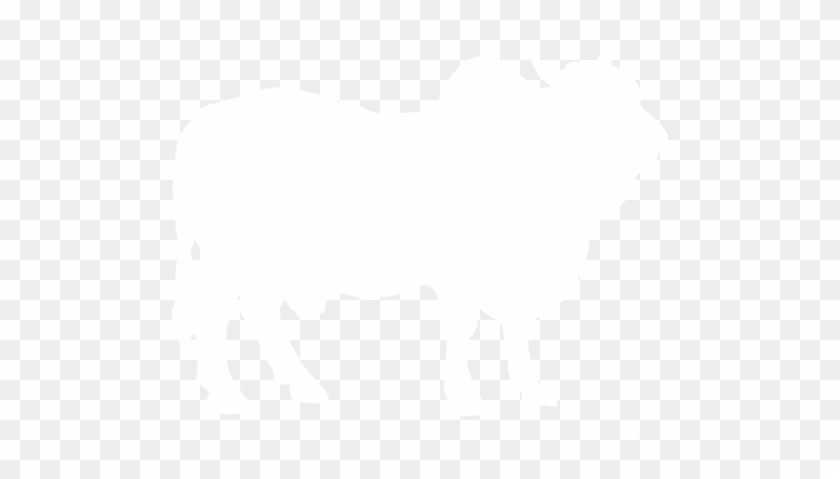 High Quality - High Quality - Free Transparent PNG Clipart Images Download