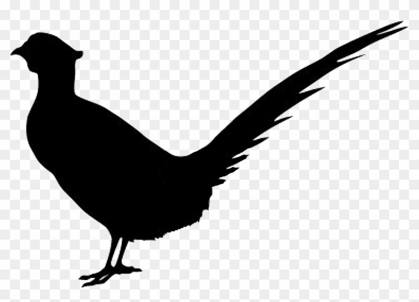 Pheasant Svg - Pheasant Svg - Full Size PNG Clipart Images Download