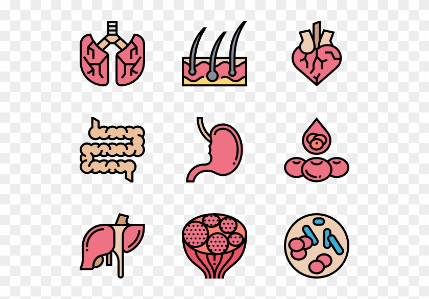 Human Organs - Human Organs - Free Transparent PNG Clipart Images Download