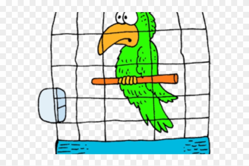 Cage Clipart Parrot - Cage Clipart Parrot - Full Size PNG Clipart ...