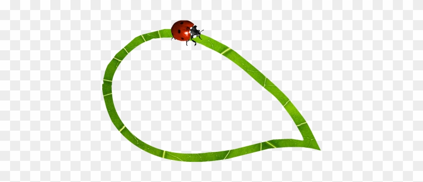 Foodchains - ' - Foodchains - ' - Free Transparent PNG Clipart Images ...