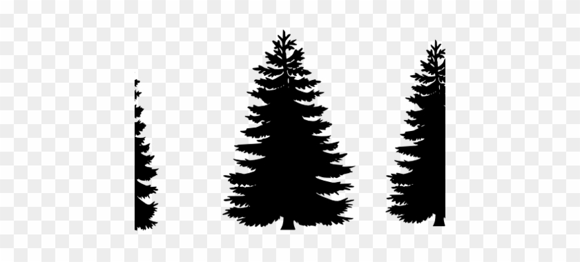 Pine Tree Clipart Realistic - Pine Tree Clipart Realistic - Free ...