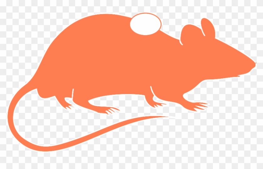 Animal Models Title Xenogeneic - Animal Models Title Xenogeneic - Free ...