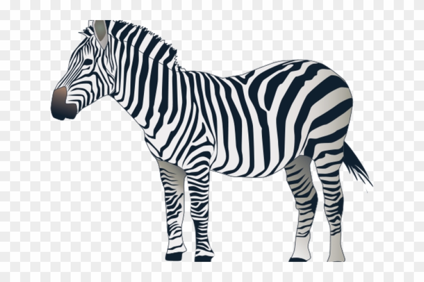 Drawn Zebra Zabra - Drawn Zebra Zabra - Free Transparent PNG Clipart ...