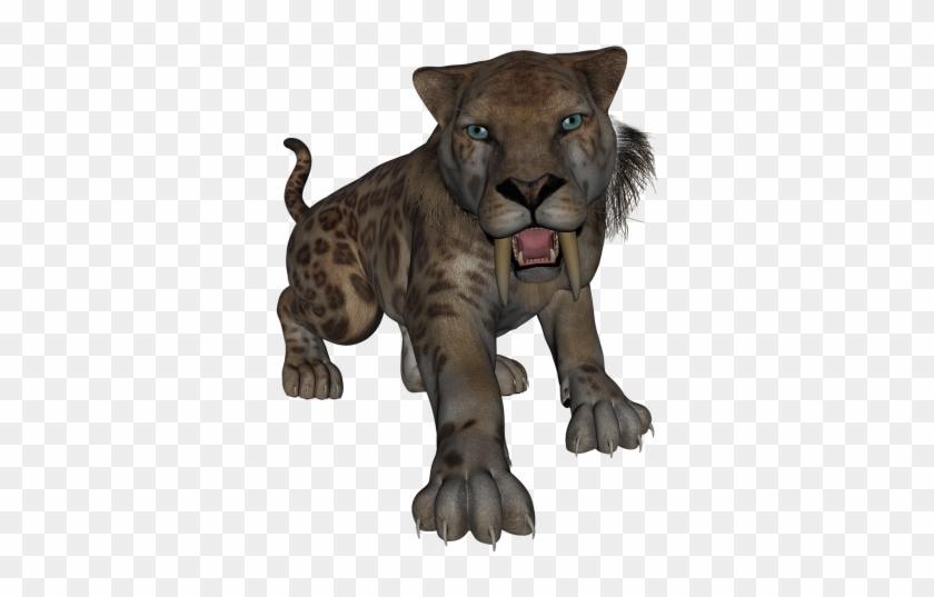 Saber Toothed Tiger,saber Tooth,tiger,cat,big Cat,saber, - Saber ...