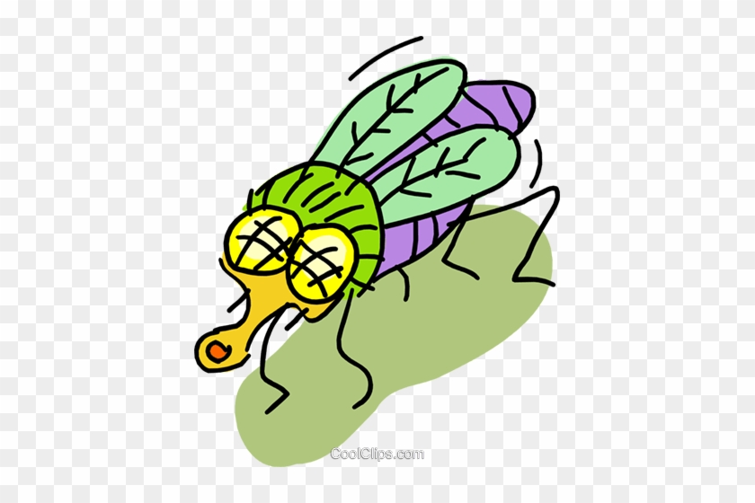 Fly Royalty Free Vector Clip Art Illustration - Fly Royalty Free Vector ...