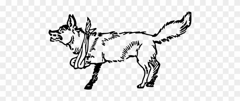 Wounded Animal,wounded Dog,wounded Wolf,wounded Fox,broken - Lame Fox ...