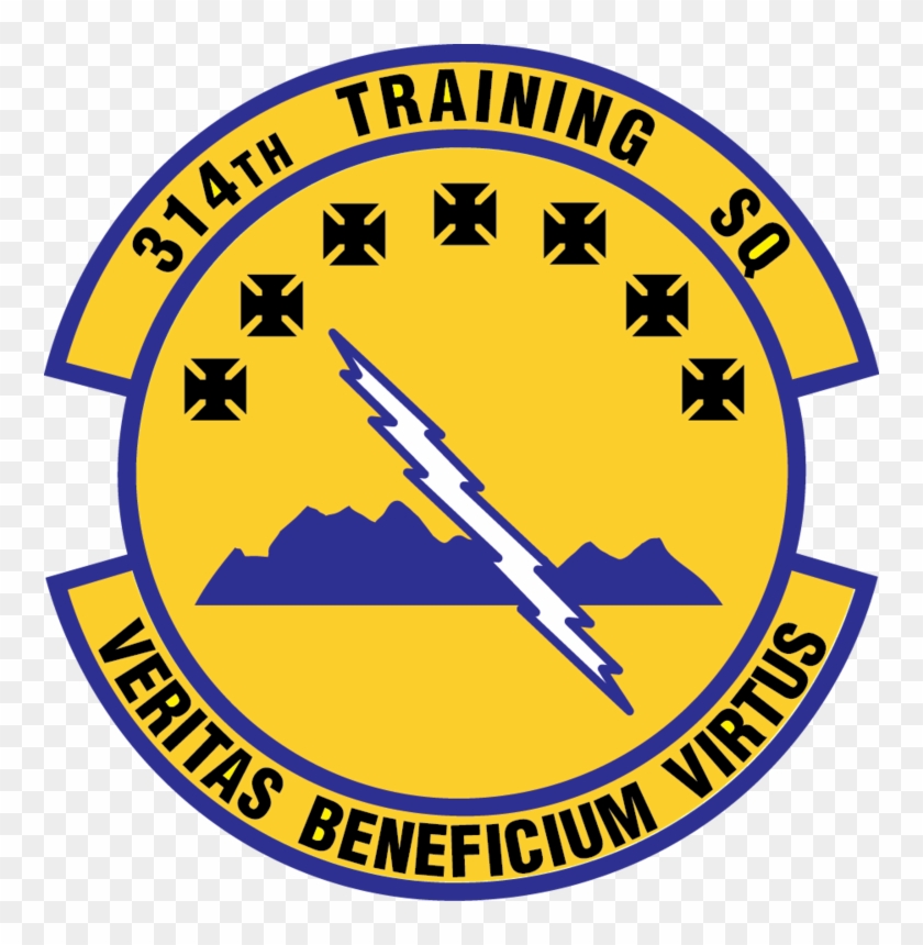 314th Training Squadron - Electronic Warfare - Full Size PNG Clipart ...