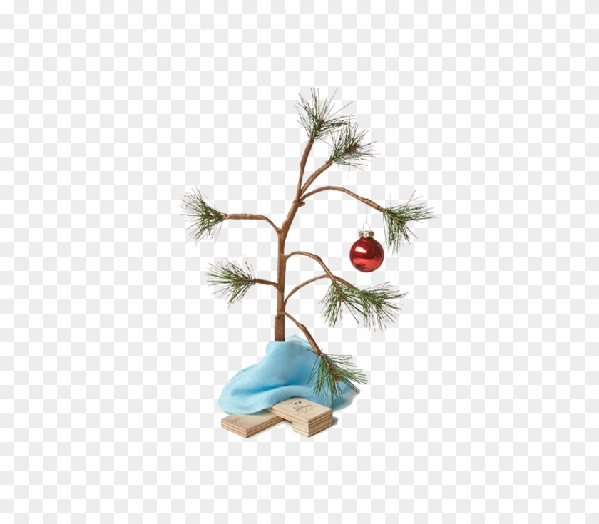 Charlie Brown Christmas Tree Png - Transparent Charlie Brown Christmas ...