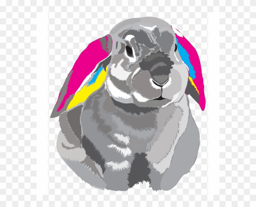 Rabbit - Free Transparent PNG Clipart Images Download