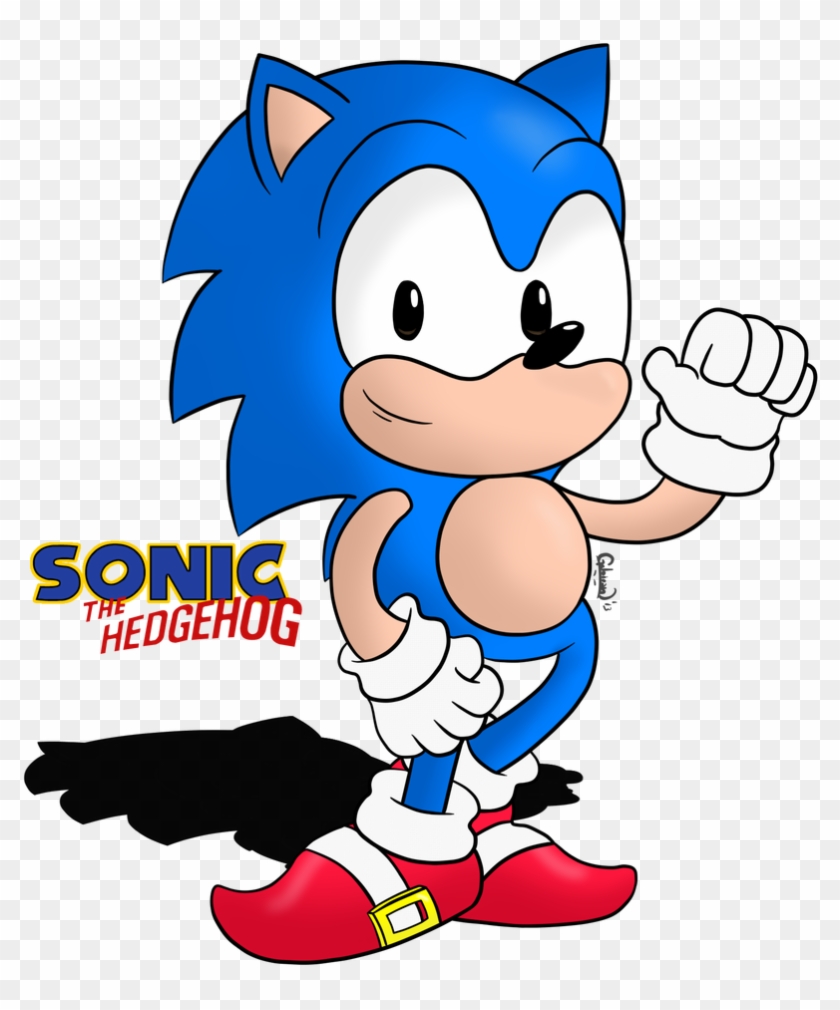 Cute Hedgehog By Vectormuffin - Sonic The Hedgehog 3 - Full Size PNG ...