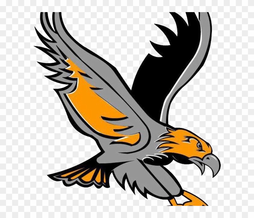River Hawks Excited For Season Two - Hawk Logo - Full Size PNG Clipart ...