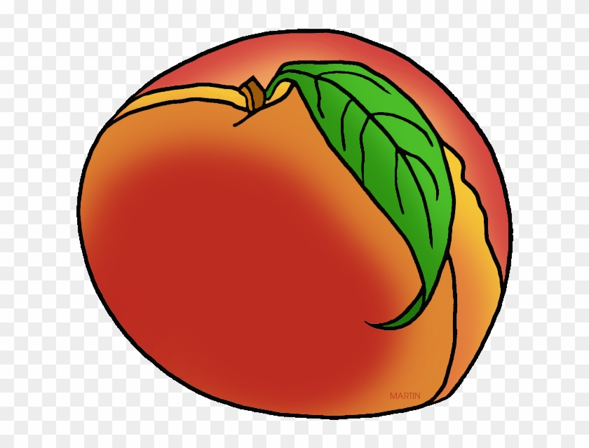 Georgia State Fruit - Clip Art - Full Size PNG Clipart Images Download