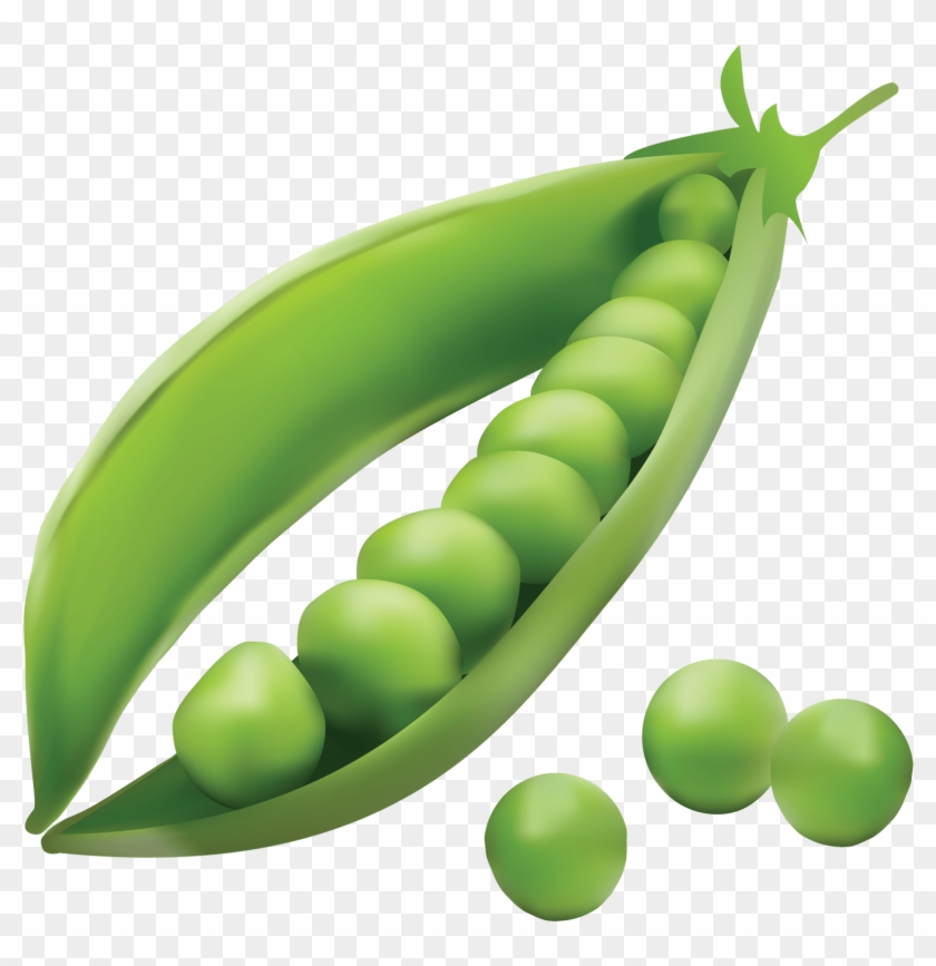 Pea Png - Free Transparent PNG Clipart Images Download