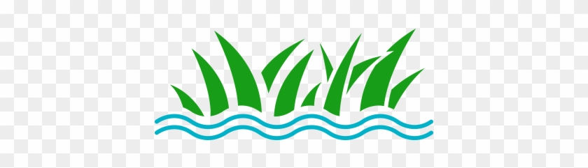 Beach Kuvi - Beach Kuvi - Free Transparent PNG Clipart Images Download