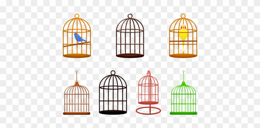Birdcage, Birds, Colorful, Cage, Animal - Cage - Full Size PNG Clipart ...