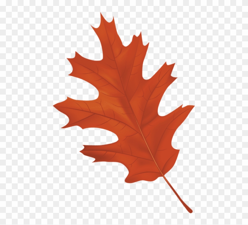 Free Png Download Brown Autumn Leaf Clipart Png Photo - Autumn Leaf ...
