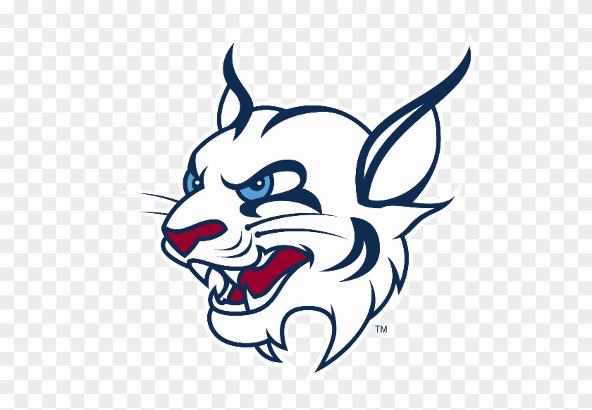 Bobcat - St Thomas University Logo Florida - Full Size PNG Clipart ...