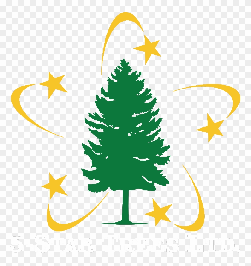 New Website Coming Soon - Fallout Factions Logo Transparent - Full Size ...