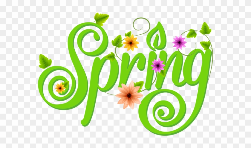Spring Decoration Png Clip Art Image - Transparent Background Spring ...