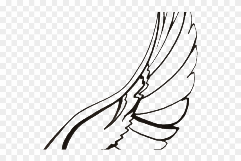 Drawn Wings Line - Bird Wing Drawing Png - Full Size PNG Clipart Images ...