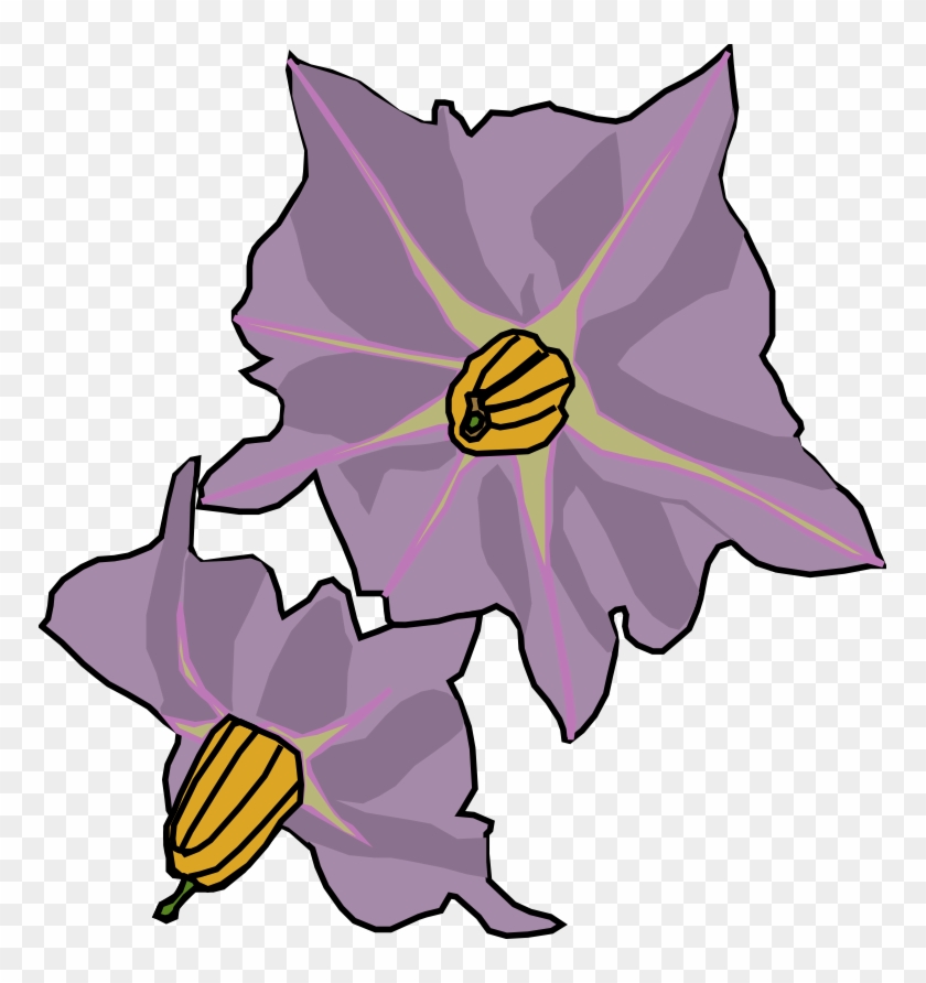 Fountain Pen Drawing - Potato Flower Drawing - Full Size PNG Clipart ...