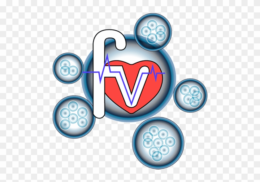 Fv Stem Cells - Fv Stem Cells - Full Size PNG Clipart Images Download