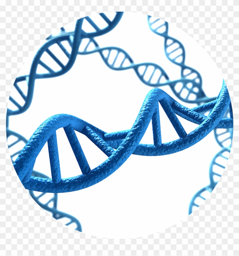 Overview - Overview - Free Transparent PNG Clipart Images Download