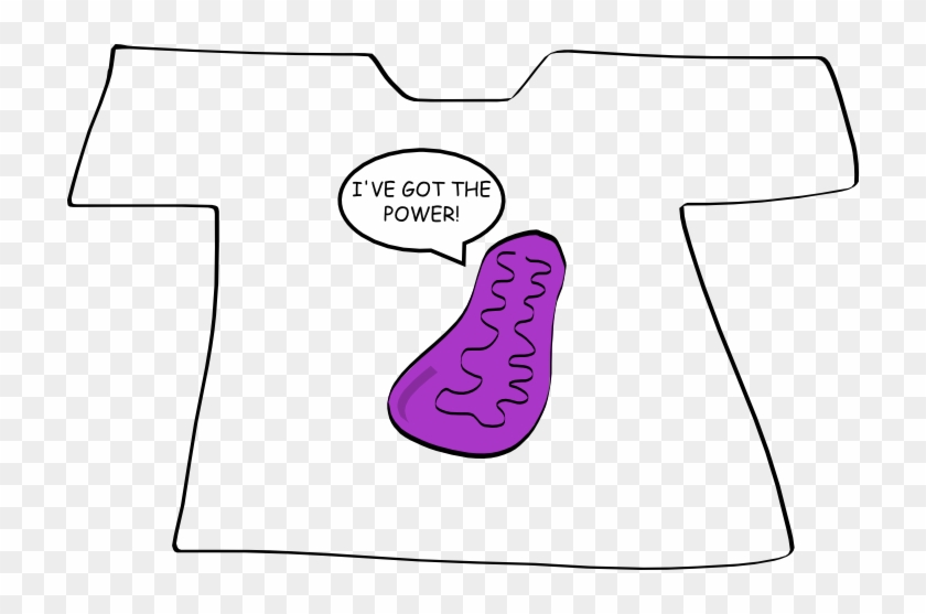 Mitochondrion Shirt - “ - Comic Strips On Cell Organelles - Full Size ...