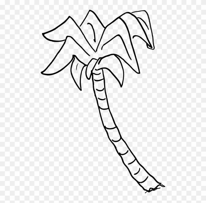 Sabal Palm Palm Trees Drawing Coloring Book Computer - Palma Omalovánka ...