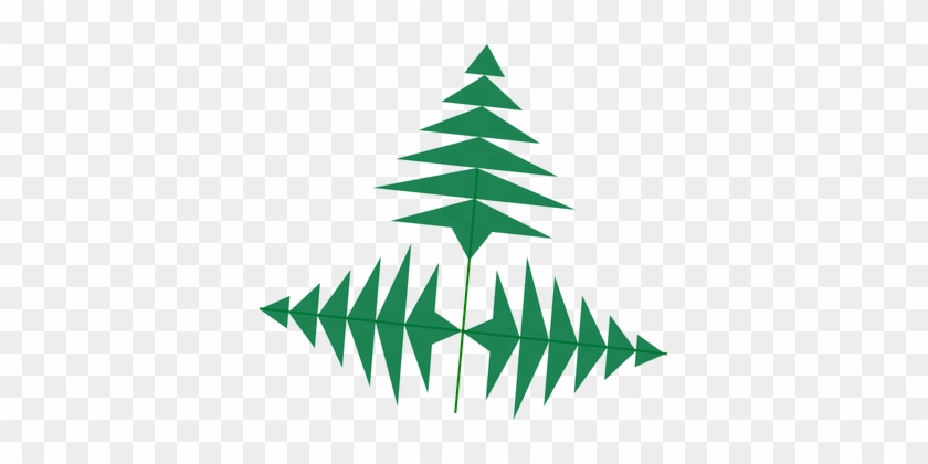 Fern, Symbol, Sign, Flora, Botany, Herb - Clip Art - Full Size PNG ...