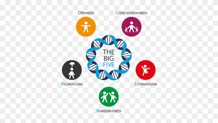 Wgląd - Personality Big 5 Theory - Full Size PNG Clipart Images Download