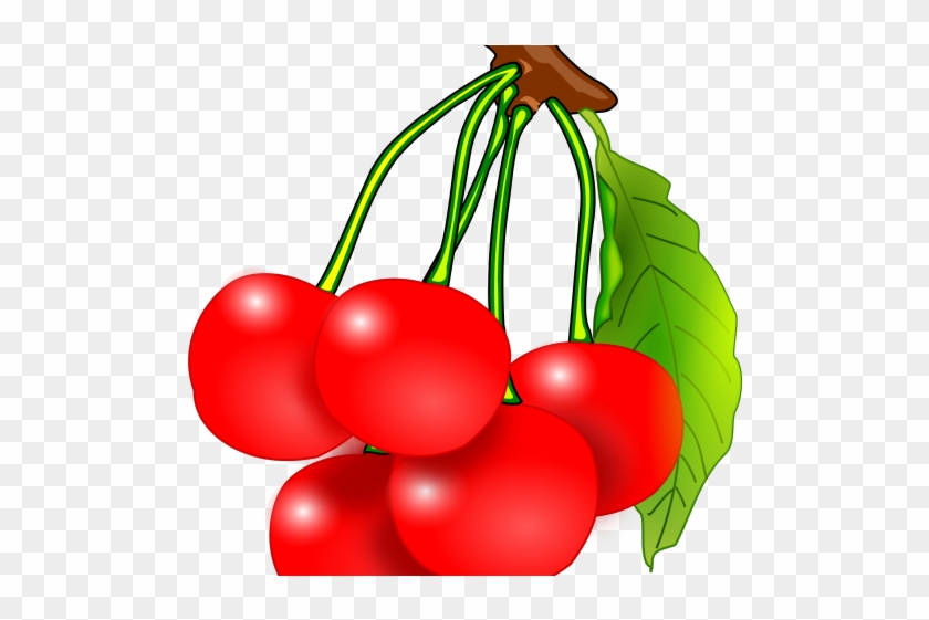 Cherry Clipart Sour Cherry - Cherry Clipart - Full Size PNG Clipart ...