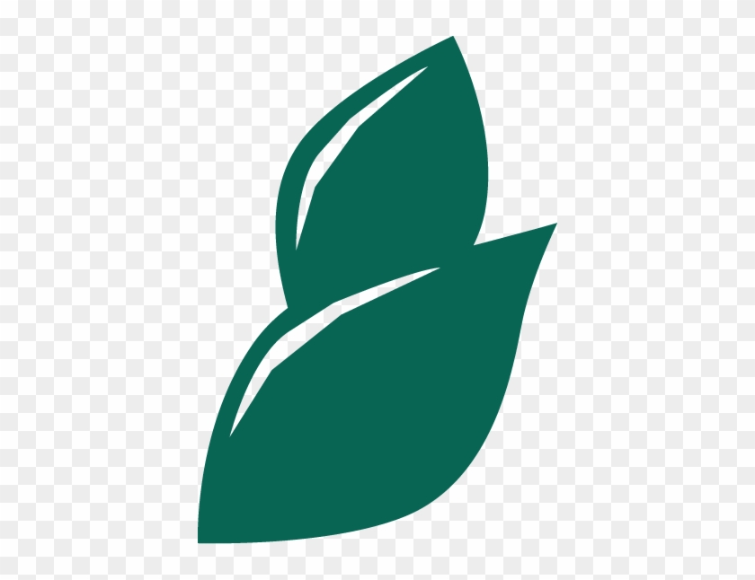 Pili Nuts - Emblem - Full Size PNG Clipart Images Download