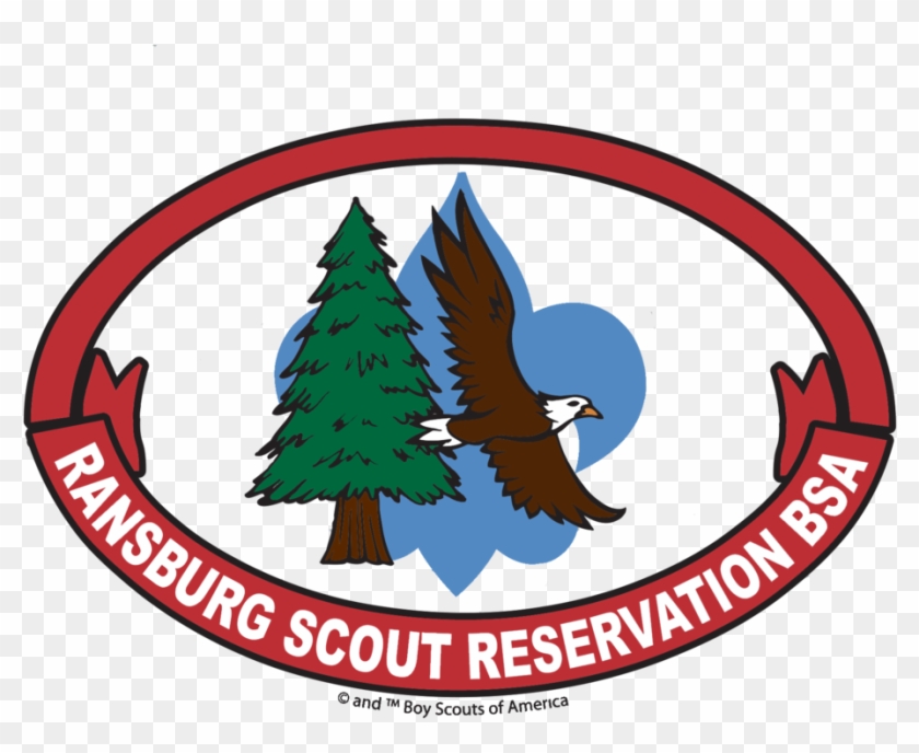 Boy Scout Images Clip Art - Free Transparent PNG Clipart Images Download