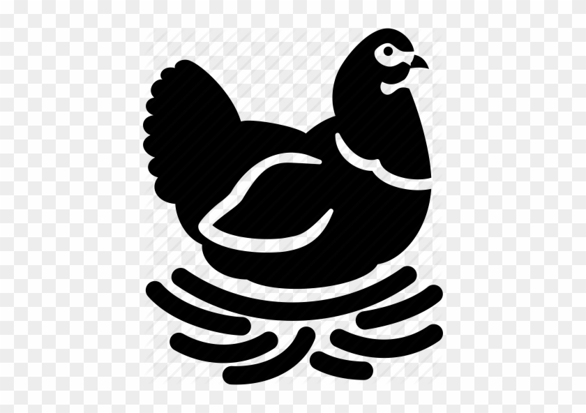 Birds Nest Clipart Hen Nest - Chicken Nest Icon Png - Full Size PNG ...