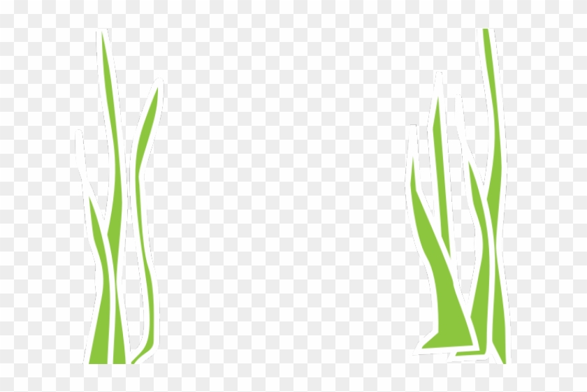 Reed Clipart Underwater - Illustration - Full Size PNG Clipart Images ...