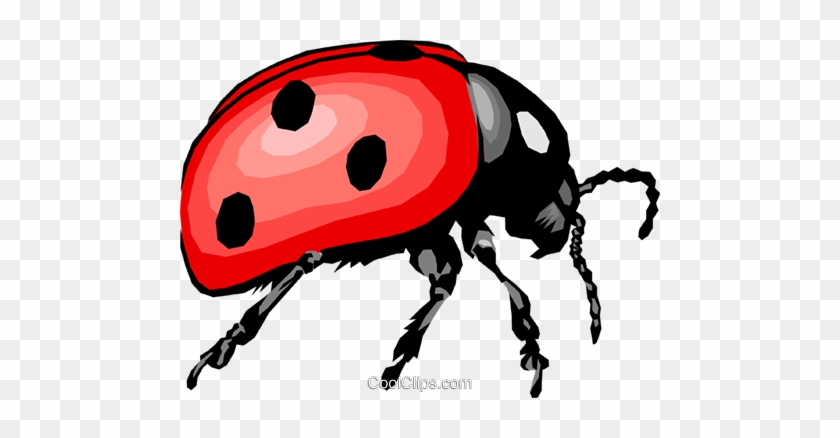 Ladybug Royalty Free Vector Clip Art Illustration - Ladybug Royalty ...