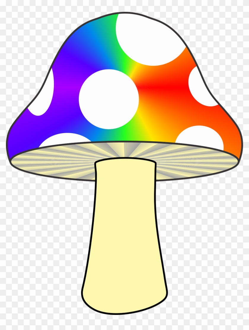 Mushroom,nature,colorful ,fungus,woods - Mushroom Rainbow - Full Size ...