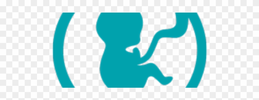The Umbilical Cord - The Umbilical Cord - Full Size PNG Clipart Images ...