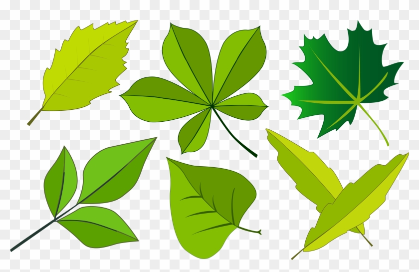 Trees - Theme Leaf Png - Free Transparent PNG Clipart Images Download