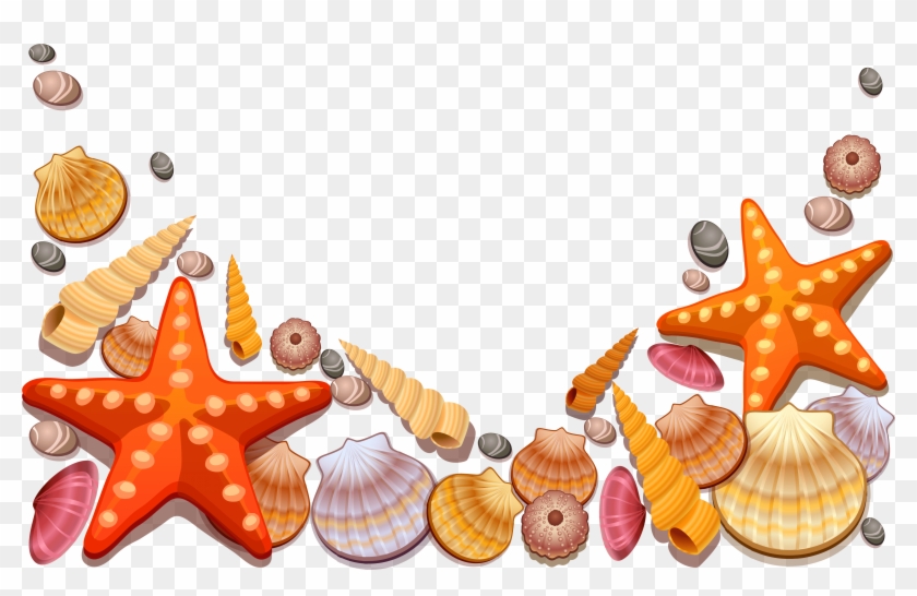 Sea Shells Vector Png - Full Size PNG Clipart Images Download