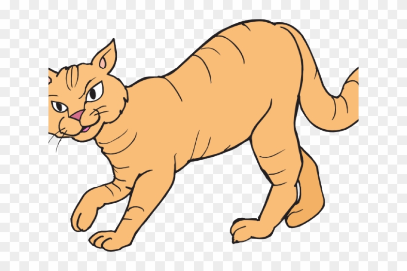 Big Cat Clipart 10 Big Cat Breeds | PetMD