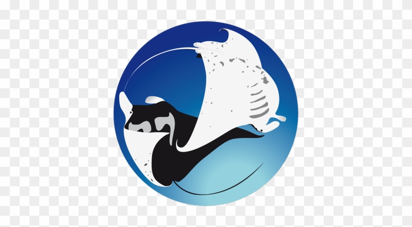 Project Manta - Project Manta - Free Transparent PNG Clipart Images ...