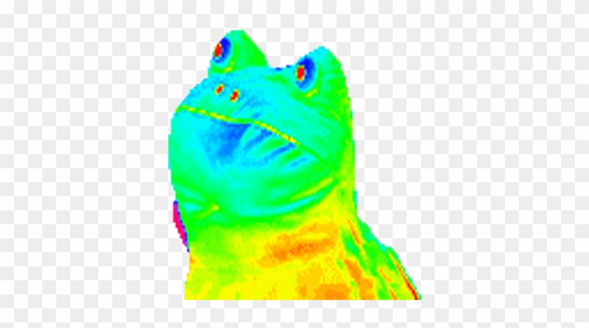 Pepe The Frog Rainbow Gif - Full Size PNG Clipart Images Download