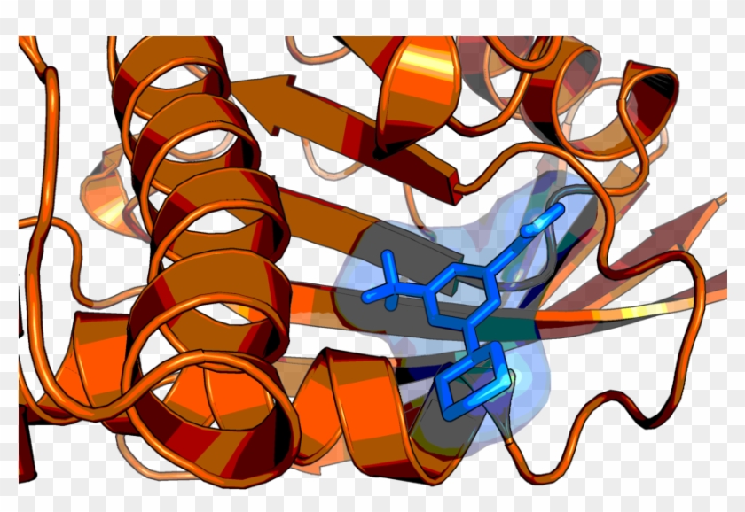 Step Structure And Allosteric Binding Site With Bound - Graphic Design ...