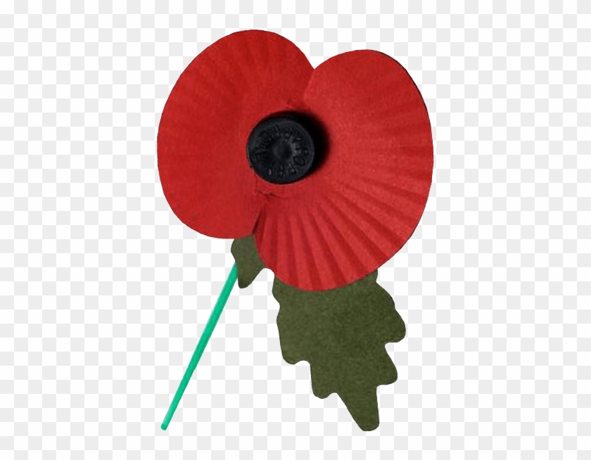 Poppy With No Background - Free Transparent PNG Clipart Images Download