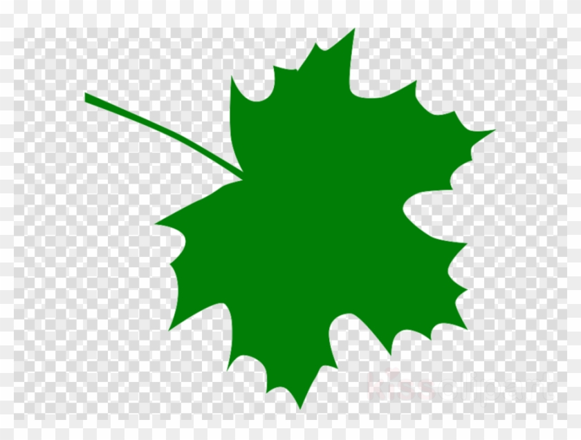 Green Maple Leaf Clipart Maple Leaf Clip Art - France Map No Background ...