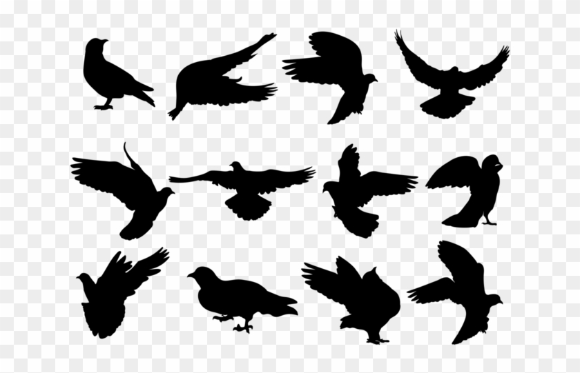 Paloma Silhouettes Vector - Palomas Png Vector - Full Size PNG Clipart ...